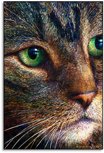 Everybody Gets a Cat – Donovan Irven